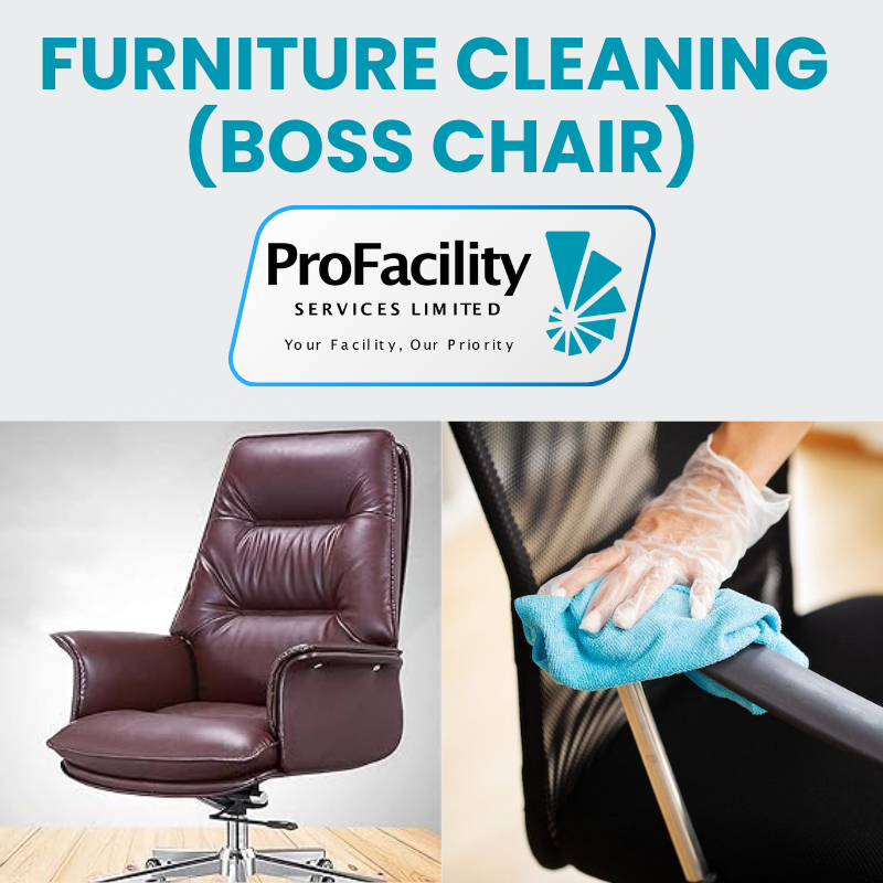 Furniture Cleaning (Boss Chair)